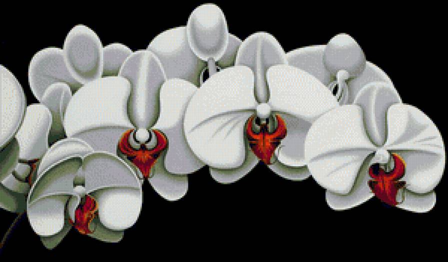 Схема вышивки «Орхидея» (№1124192) - Вышивка крестом