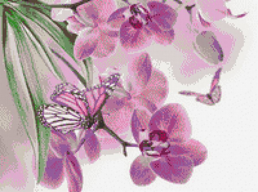 Схема вышивки «Орхидеи и бабочки» (№1151399) - Вышивка крестом